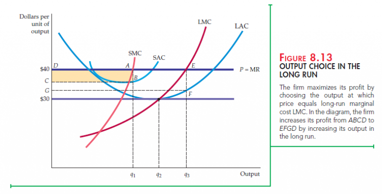 Choosing Firm’s Output in the Long Run – HKT Consultant