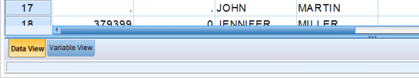 SPSS Data Editor Window – Quick Overview of User Interface – HKT Consultant