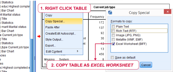 Exporting anh Copying SPSS Outputs to Word or Excel – HKT Consultant
