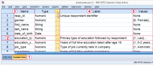 SPSS Data Editor Window – Quick Overview of User Interface – HKT Consultant