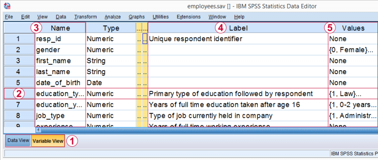 SPSS Data Editor Window – Quick Overview of User Interface – HKT Consultant